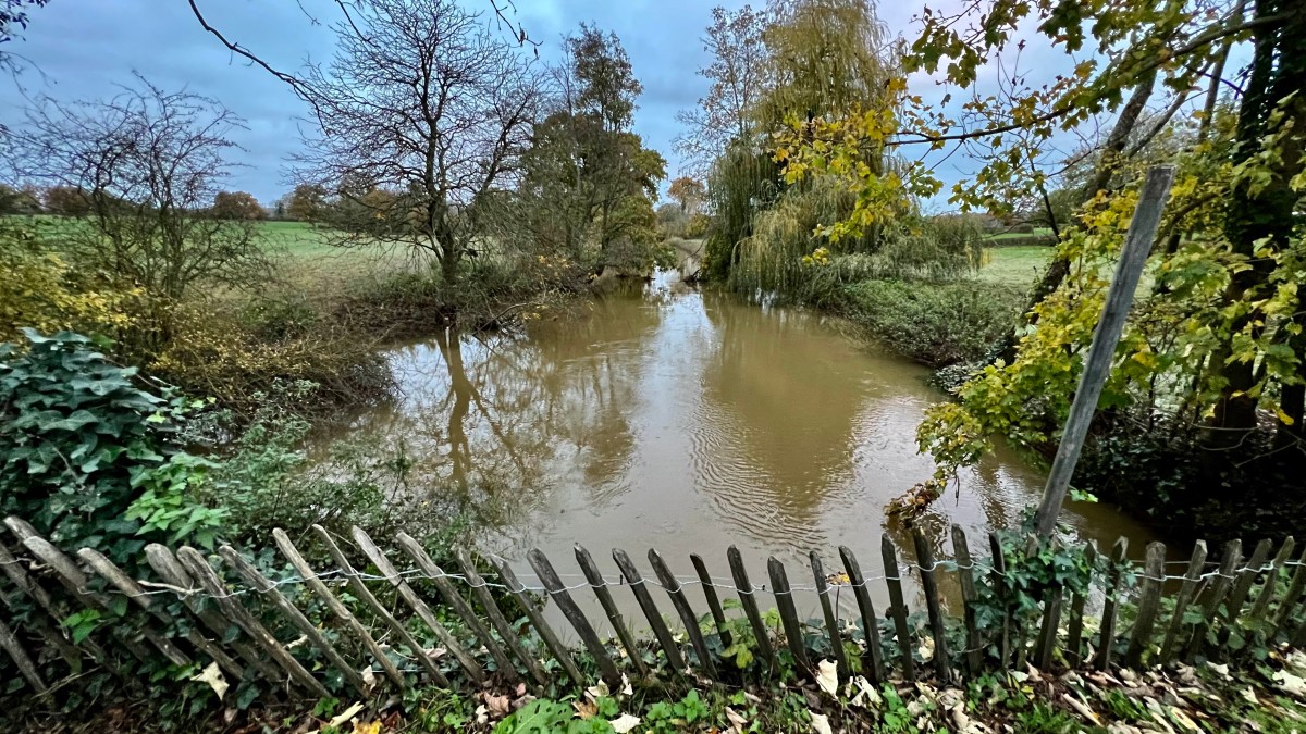 Learning about anglers on the River Mole – The Mole Story