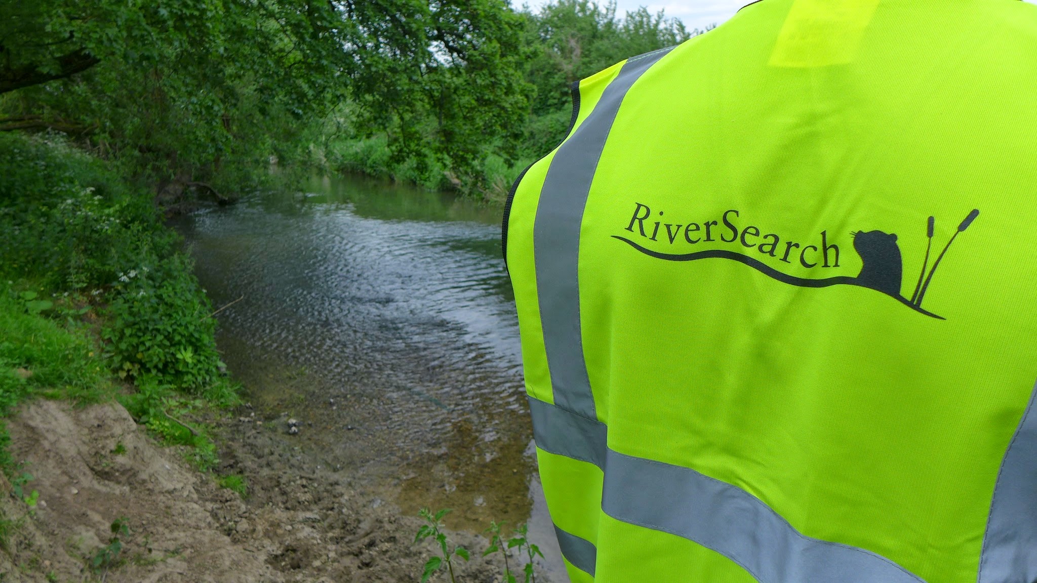 In search of the Source of the River Mole! – The Mole Story