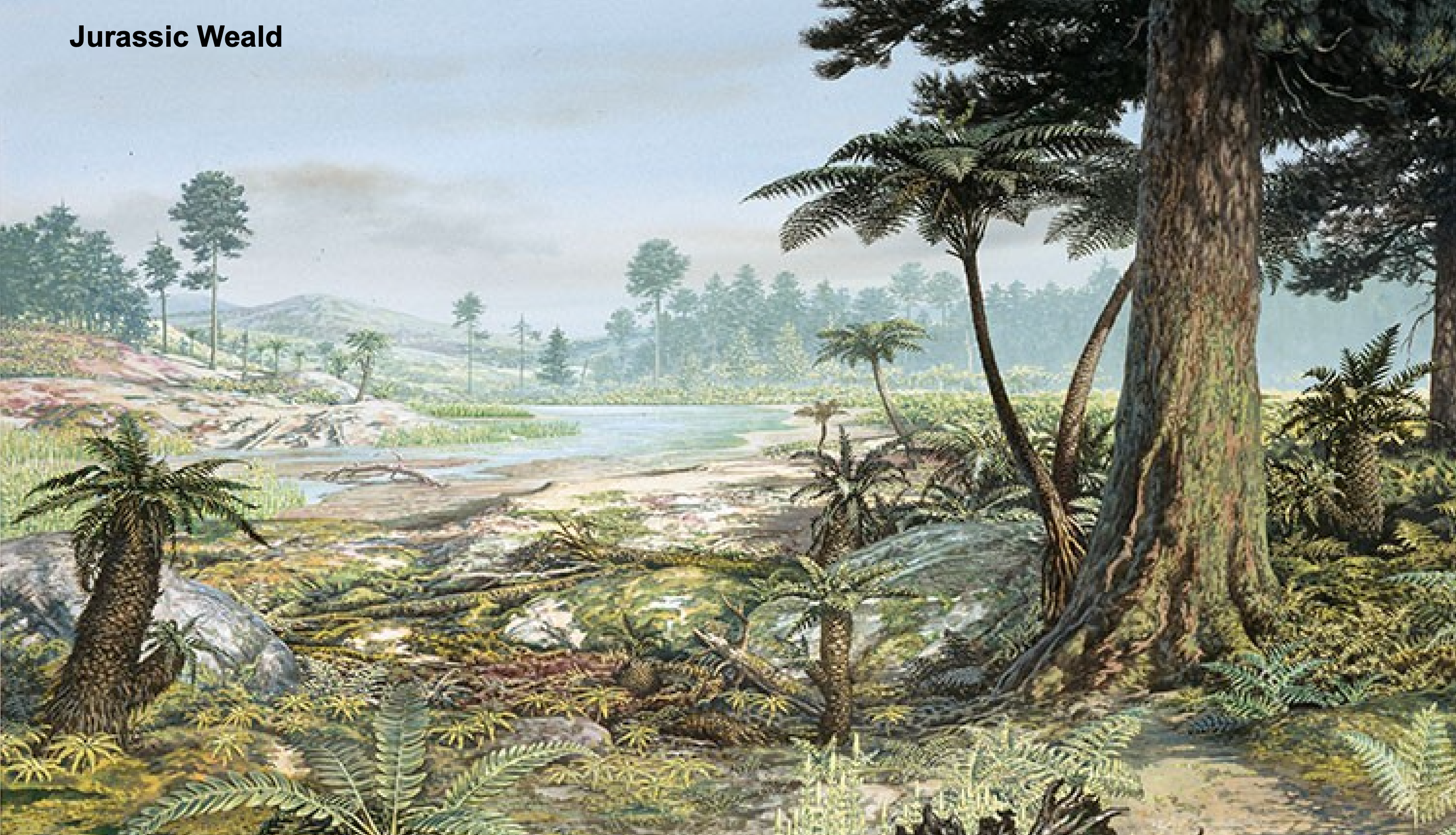 Making Mole Hills out of Mountains. Part 2: The Mesozoic Trough – The ...