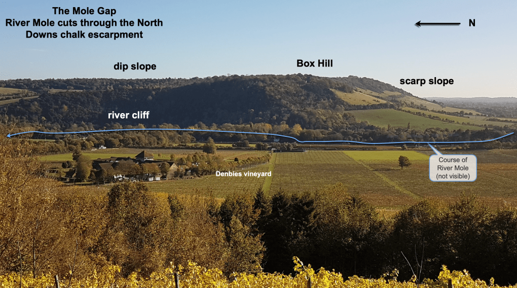 Making Mole hills out of Mountains: the formation of the Mole and the ...