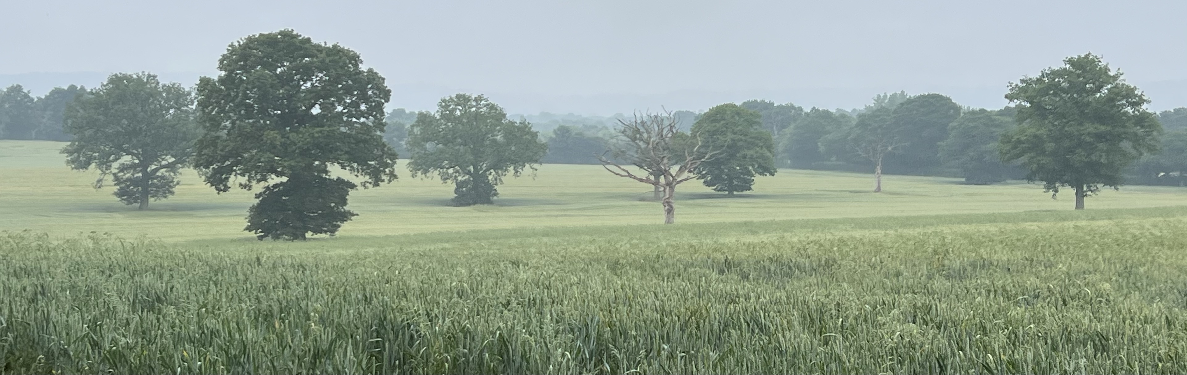 The Mole Story – A website about the River Mole in Surrey, South East ...